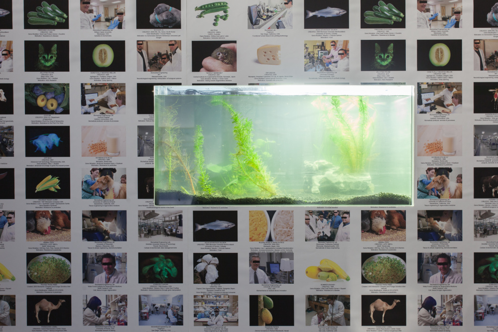 The Infinity Engine (2014) | ZKM