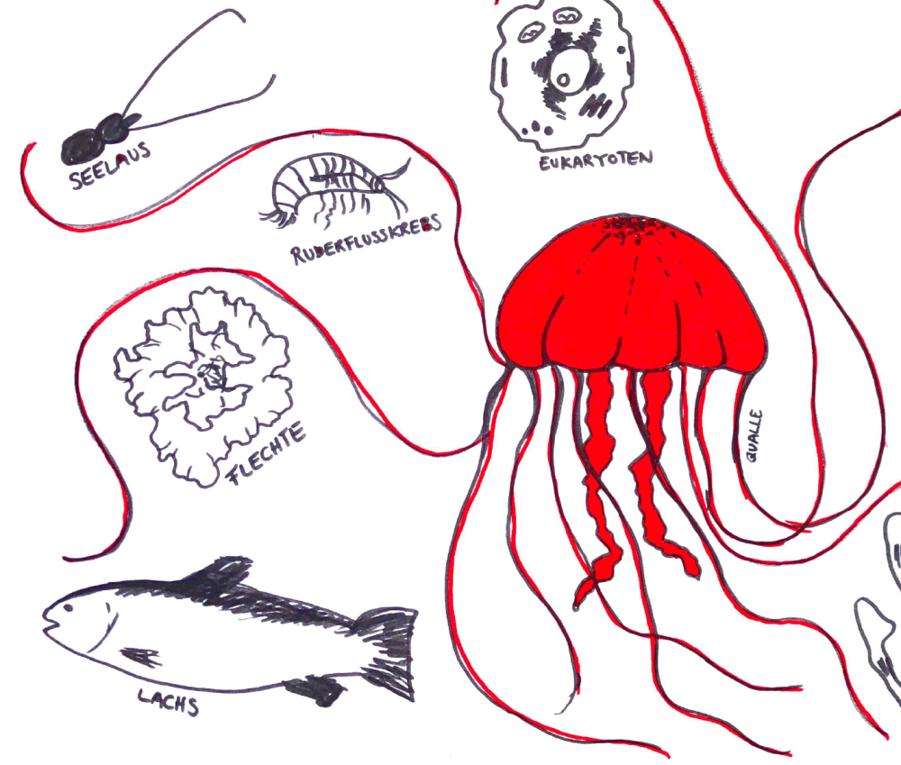 TOTAL GAIA (Online) | ZKM