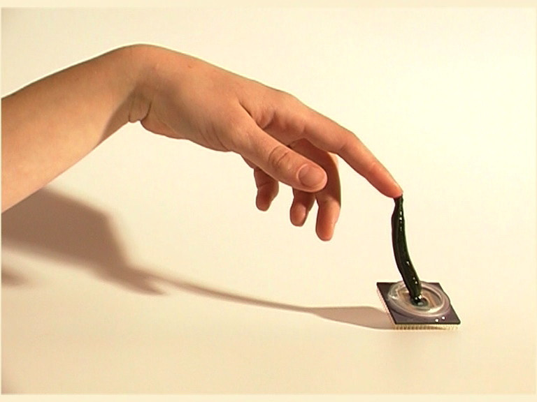 A friendly parasite | ZKM