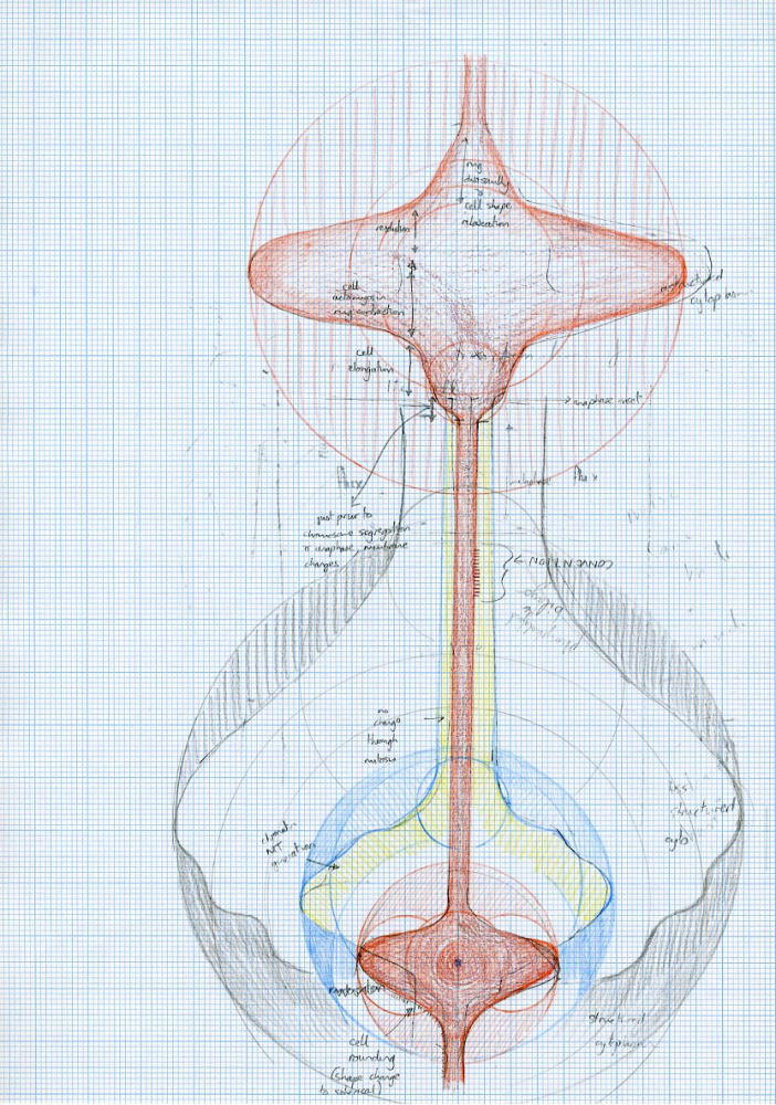 TOTAL GAIA – Digital | ZKM