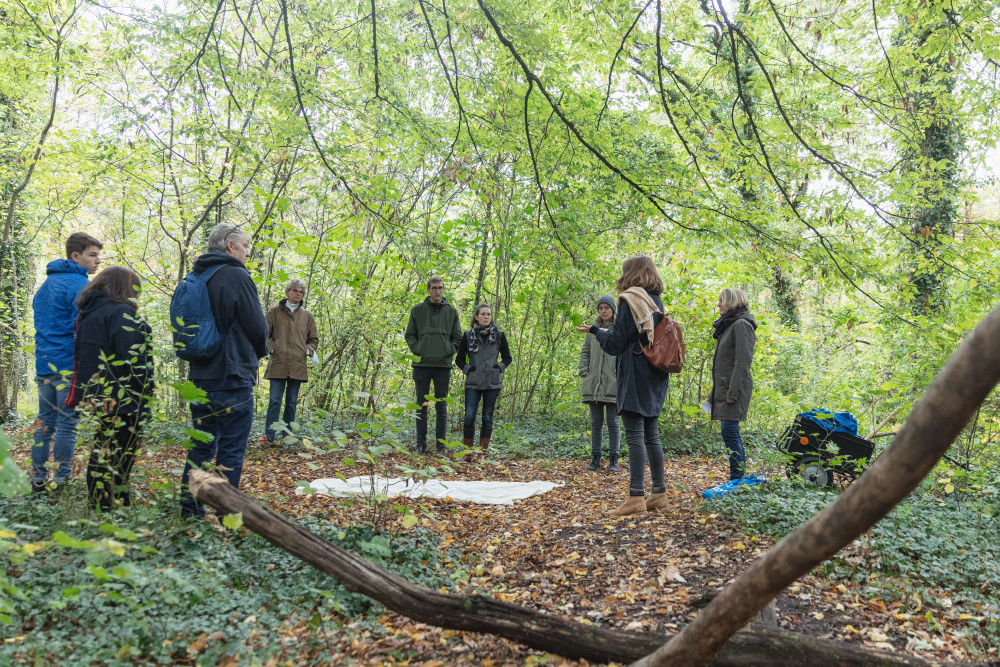 Guided Tour through Critical Zones: The Riverside Forest | ZKM