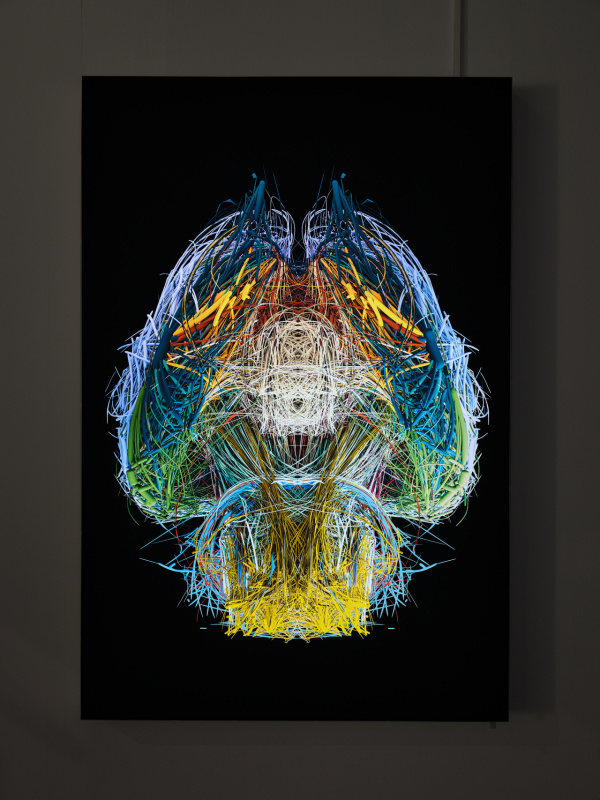 The Mouse Connectome | ZKM The Mouse Connectome | ZKM