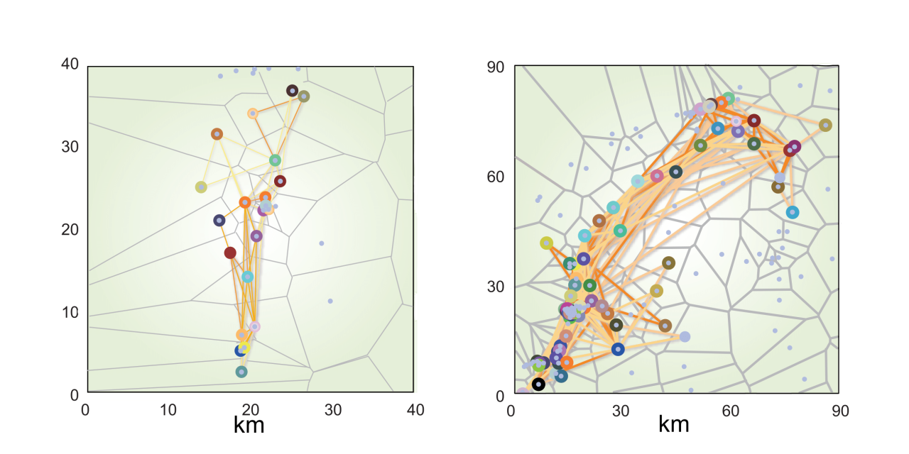 Menschliche Mobilität | ZKM